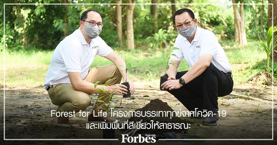 Forest for Life โปรเจกต์ 25 ล้านบาท เพื่อบรรเทาทุกข์จากโควิด-19 และ ...