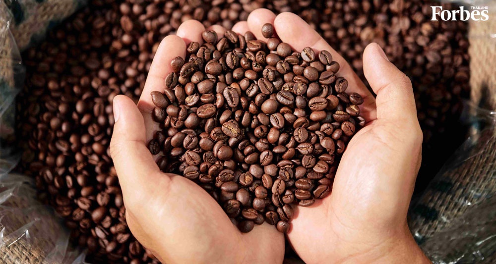 ชวนคอกาแฟร่วมสัมผัส "Pirom Coffee"แบรนด์กาแฟโรบัสต้าใหม่ เตรียมยกระดับ ...